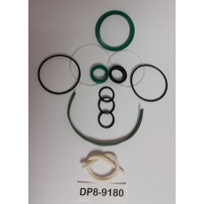 DP8 9180 Seal Kit
